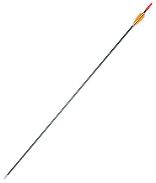 Pfeil aus Carbon bis 30 LBS für Bogensport kaufen!